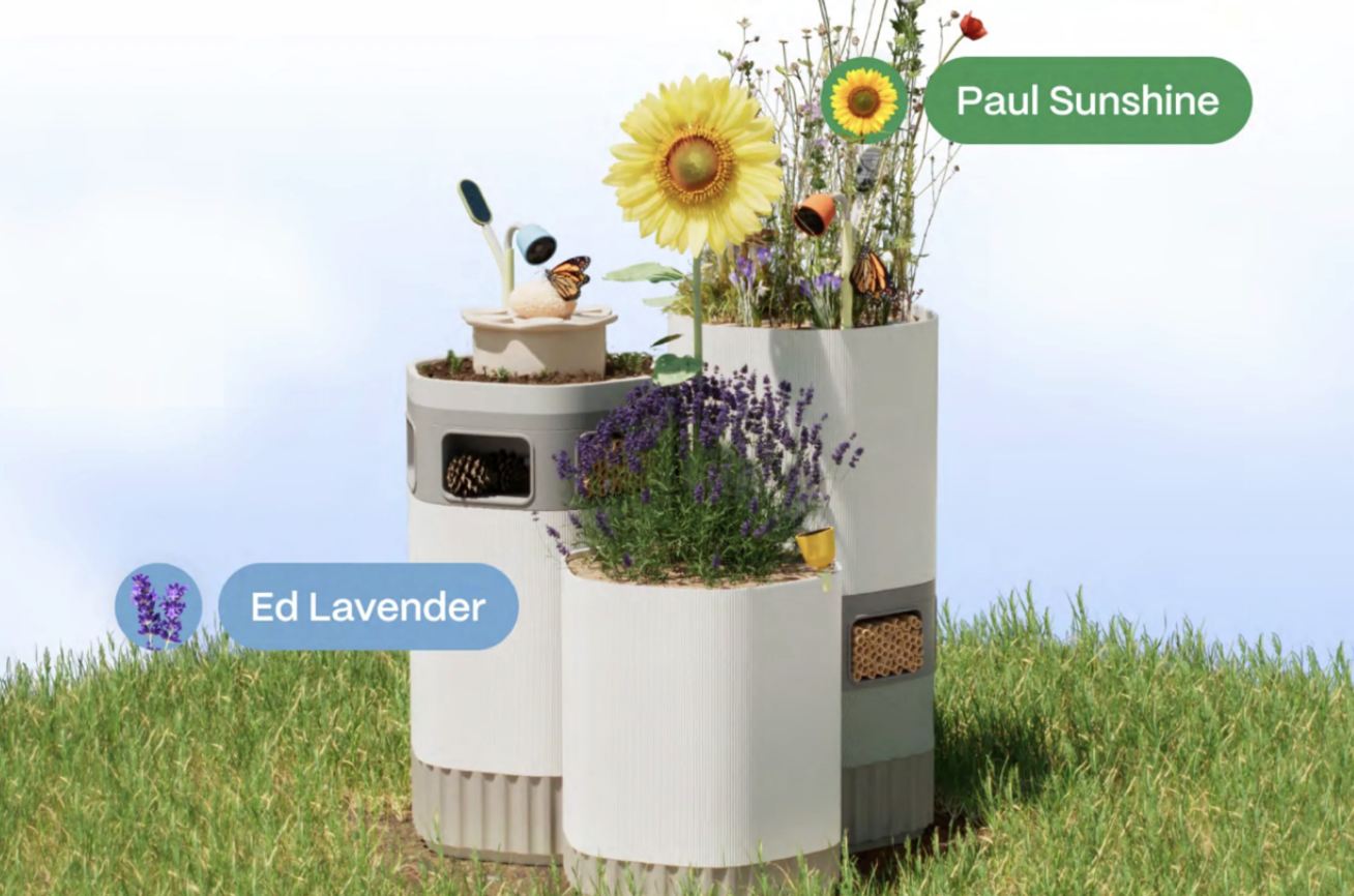 From smart bird feeders to smart insect habitats, with AI-powered cameras